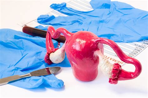 Bone Loss Likely After Prophylactic Bilateral Salpingo Oophorectomy