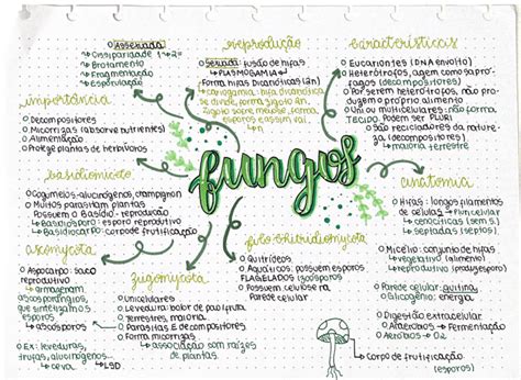 Mapa Mental Sobre Fungos REVOEDUCA