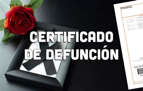 Certificado de Defunción Guía completa y Requisitos Gobierno Abierto