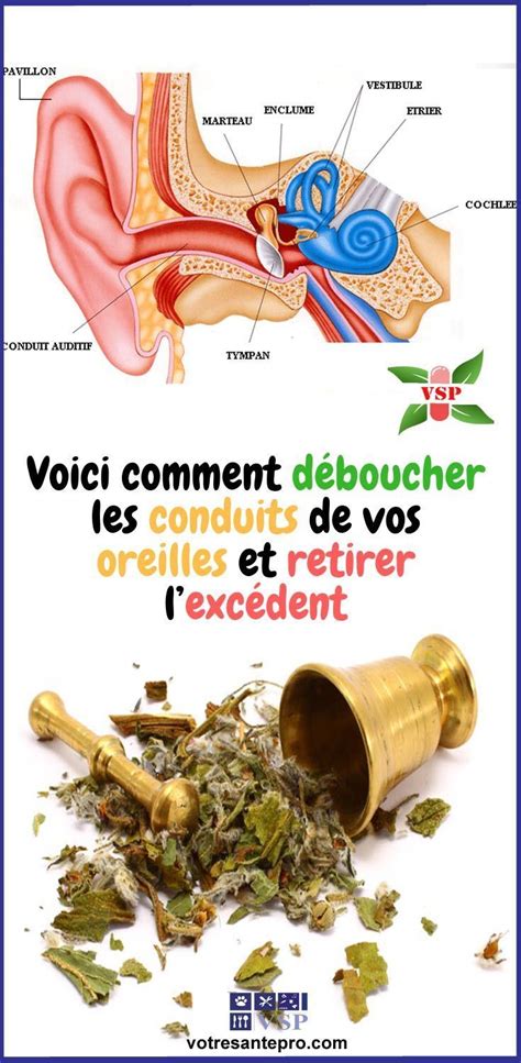 Voici comment déboucher les conduits de vos oreilles et retirer l