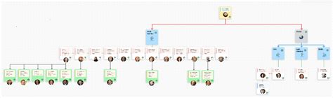 Business Organizational Chart Starbucks