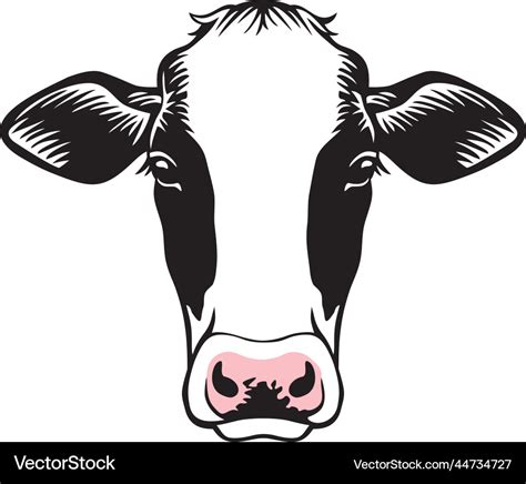 Cow Head Color Royalty Free Vector Image VectorStock