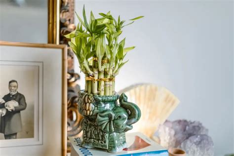 Los 5 mejores consejos de Feng Shui para eliminar la energía negativa