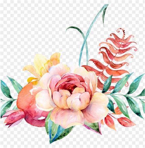Flower Border Png Watercolour Flower Border Png Peoplepng Watercolor