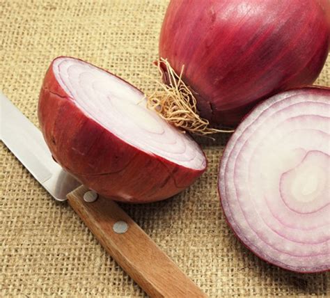 8 temperos que podem substituir o sal nas comidas que você prepara