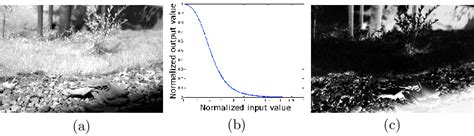 effect of the non linear mapping function a is the input nir image download scientific