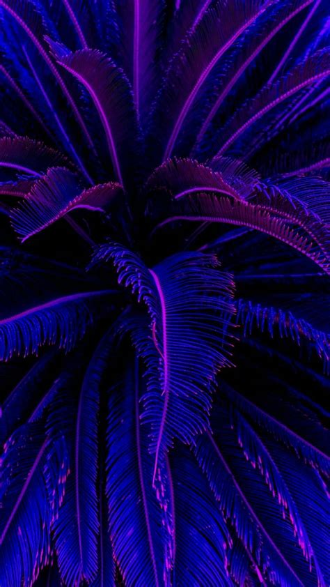 Top 999 Dark Purple Aesthetic Wallpaper Full HD 4K Free To Use