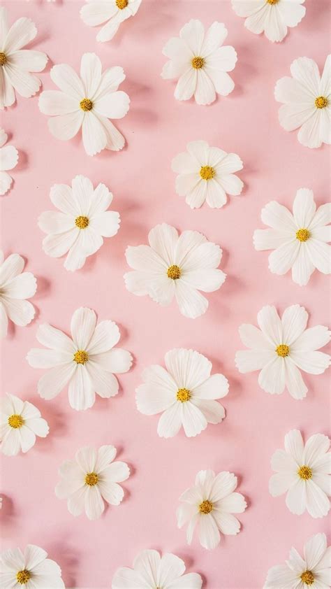Pink Flowers Wallpapers