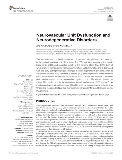 PDF Neurovascular Unit Dysfunction And Neurodegenerative Disorders