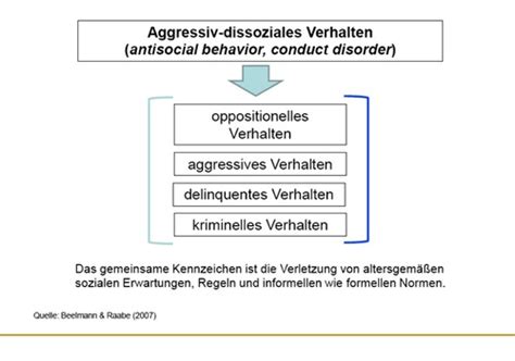 Entwicklung Vl Risikoverhalten Im Jugendalter Karteikarten