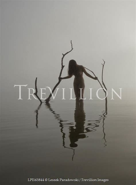 Trevillion Images