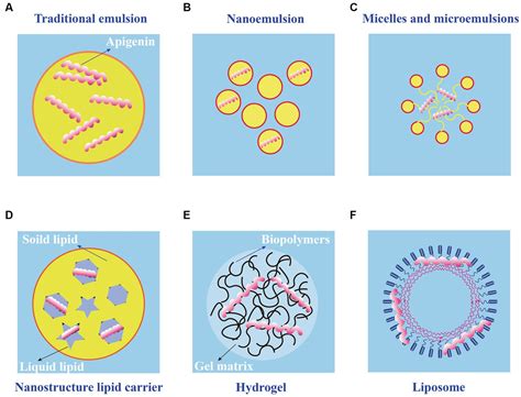 Frontiers Recent Advancement In Bioeffect Metabolism Stability And