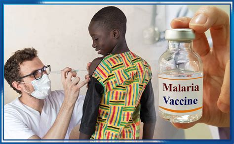 Why Promising Malaria Vaccines Need A Modern Cold Chain B Medical Systems