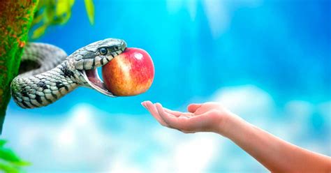 Was The Forbidden Fruit In The Garden Of Eden Actually An Apple