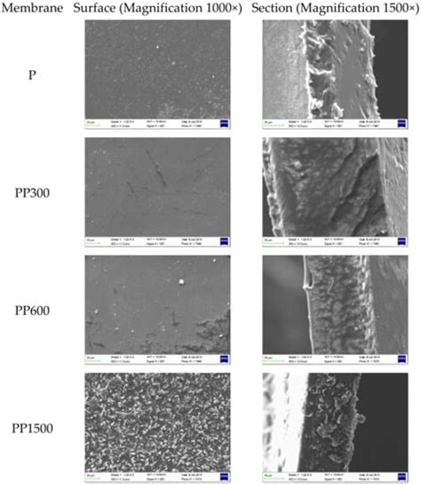 Membranes Free Full Text Pebax Based Composite Membranes With High