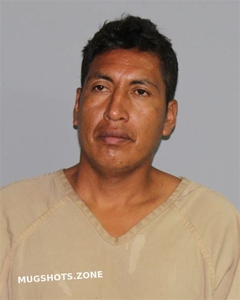 YANEZ HERRERA LUIS EDUARDO 08 20 2023 Palo Pinto County Mugshots Zone