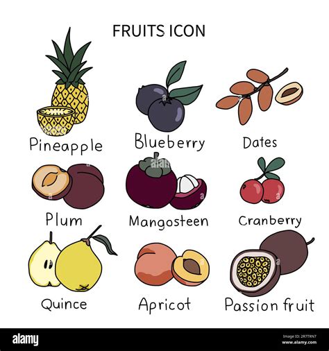 Fruits Icon Vector Illustration Set Stock Vector Image Art Alamy