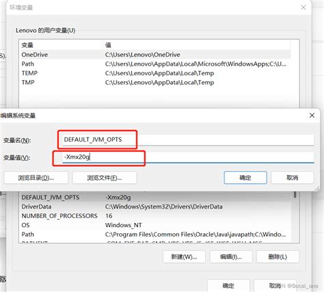 JADX 出现虚拟机崩溃报错 别慌 看下面 Error Could not create the Java Virtual