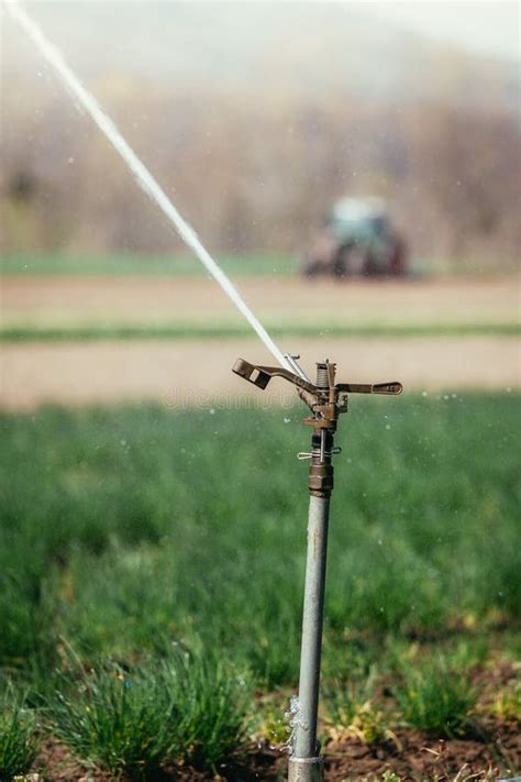Syst Me D Usine D Irrigation Sur Un Champ Agriculture Photo Stock