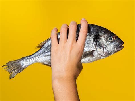 Mano Con Pescado Fresco Sobre Fondo Amarillo Foto Gratis