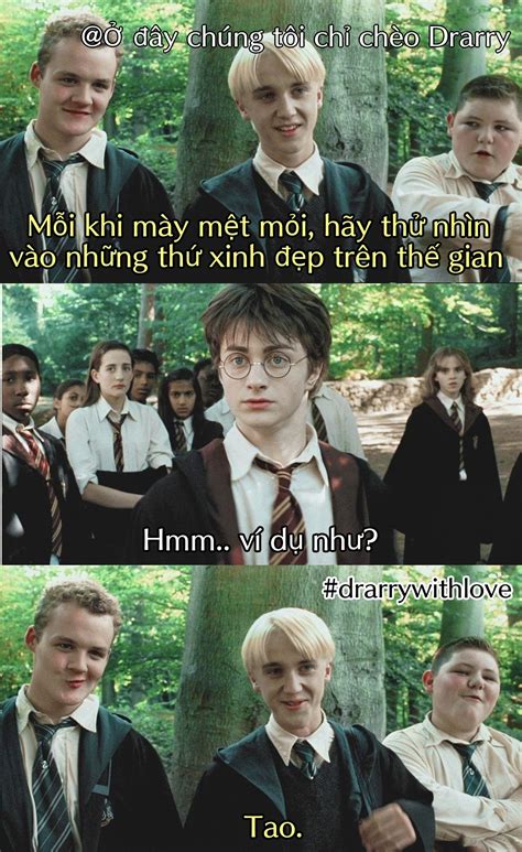 Ở đây chúng tôi chỉ chèo Drarry Drarry Harry potter Harry draco