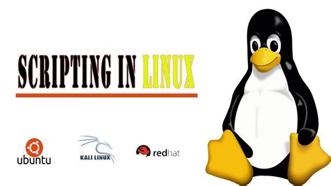 scripting in linux shell scripting tutorial for beginners youtube