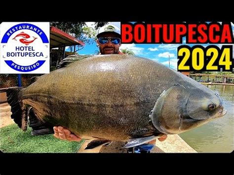 PESQUEIRO BOITUPESCA 2024 PESCARIA DICAS E NOVIDADES DESSE PARAÍSO