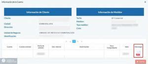Planilla de Luz Esmeraldas Cómo consultar paso a paso CdP