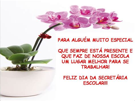 Frase Para Secretaria Escolar LIBRAIN
