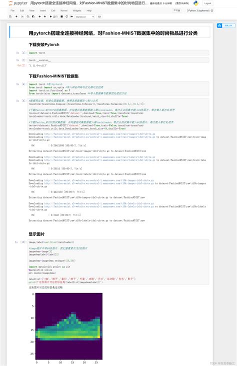 【python学习笔记】b站 同济子豪兄 用pytorch搭建全连接神经网络，对fashion mnist数据集中的时尚物品进行分类 同济子豪兄代码 csdn博客