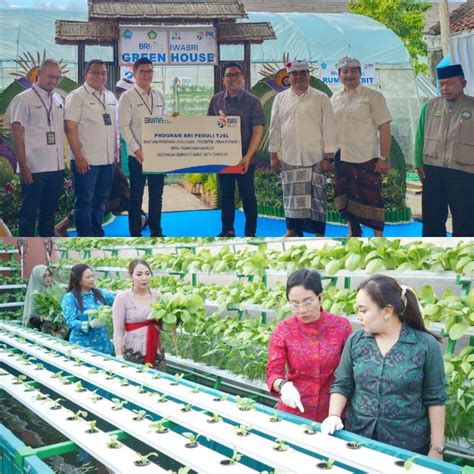 Bantuan Urban Farming Dari BRI Ciptakan Role Model Tata Lingkungan Dan