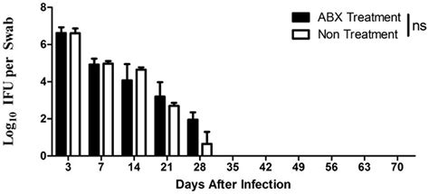 Frontiers Gut Dysbiosis Contributes To Chlamydial Induction Of