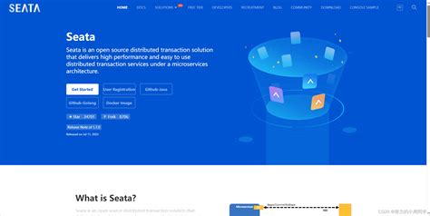 （java企业 公司项目）分布式事务seata详解（含seata nacos组合使用）（一） java集成seata csdn博客