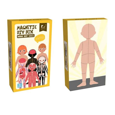 Buy Pratvider Magnetic Human Body Anatomy Play Set Human Body Parts