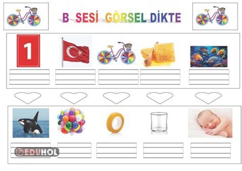 B Sesi Görsel Dikte 1 Eduhol Etkinlik İndir Oyun Oyna Test Çöz