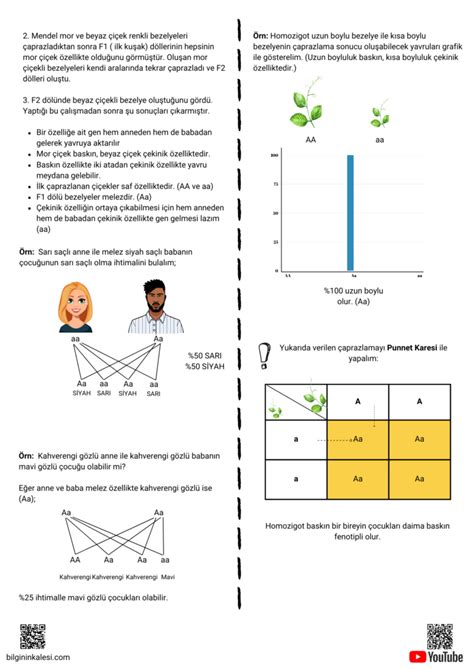 Dna Ve Genet K Kod Lgs Ders Notu Pdf Bilginin Kalesi