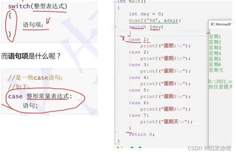 c语言初阶：分支和循环语句，初步认识switch语句以及二分查找法 c语言switch怎么用区间 csdn博客