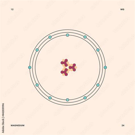 Bohr Model Representation Of The Magnesium Atom Number 12 And Symbol