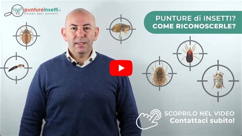 Sei Stato Punto Da Insetti Nel Letto O Al Risveglio Come Riconoscere