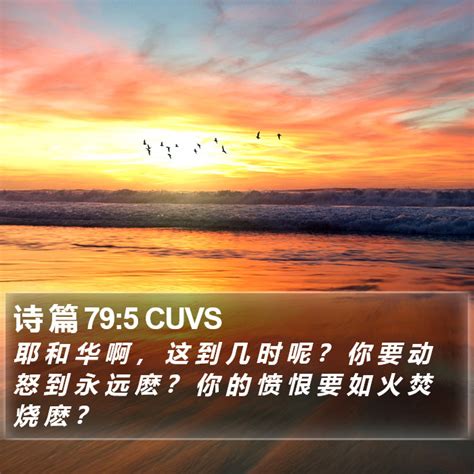 诗 篇 79 5 CUVS 耶 和 华 啊 这 到 几 时 呢 你
