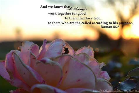 KJV Bible Wallpapers Romans 8 28