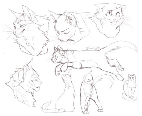 How To Draw A Cat Artofit