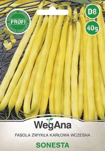 Fasola zwykła karłowa wczesna Sonesta 40g WegAna sklep RajOgrodnika pl