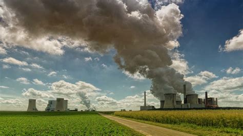 CONTAMINACIÓN TÉRMICA todo lo que debes saber de ella