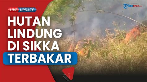 Hutan Lindung Egon Ilin Medo Di Sikka Terbakar Personil Gabungan