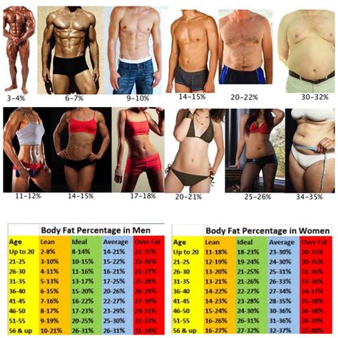 Body Fat Percentage Descriptions At Phillip Cornish Blog