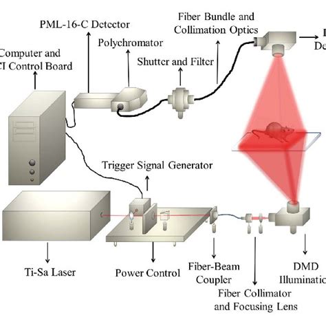 pdf time resolved multispectral diffuse optical tomography system based on structured