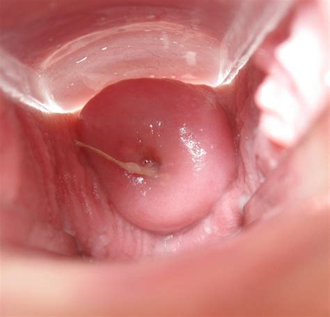X Ray Hentai Cum Uterus Mega Porn Pics
