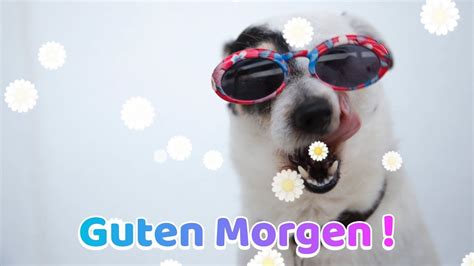 Ich wünsche Dir einen wunderschönen Tag Guten Morgen Gruß