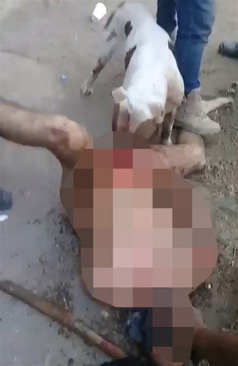 Cartel Torture Liveleak Telegraph
